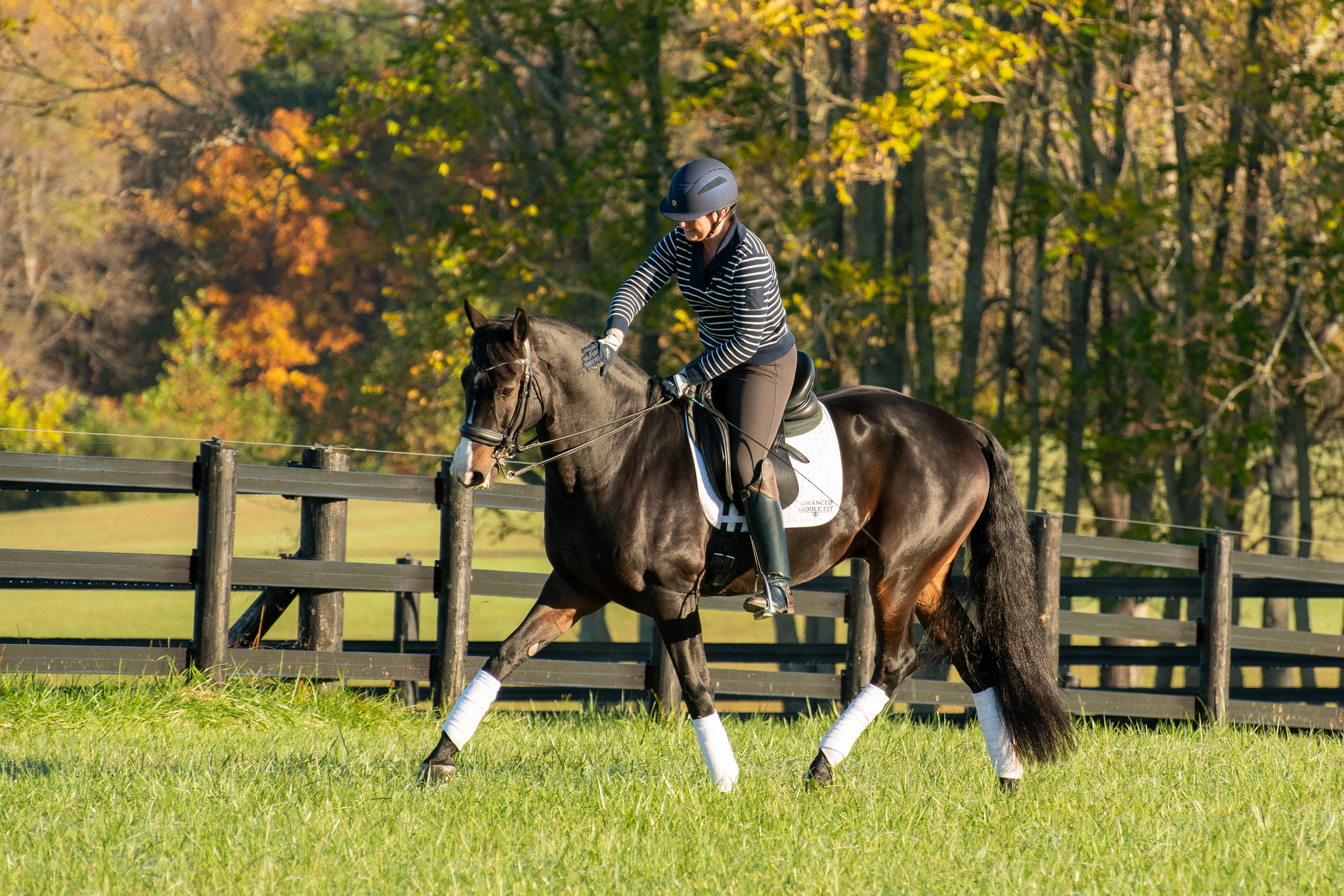 Dressage Rider, Trainer & Clinician | Sprieser Sporthorse LLC